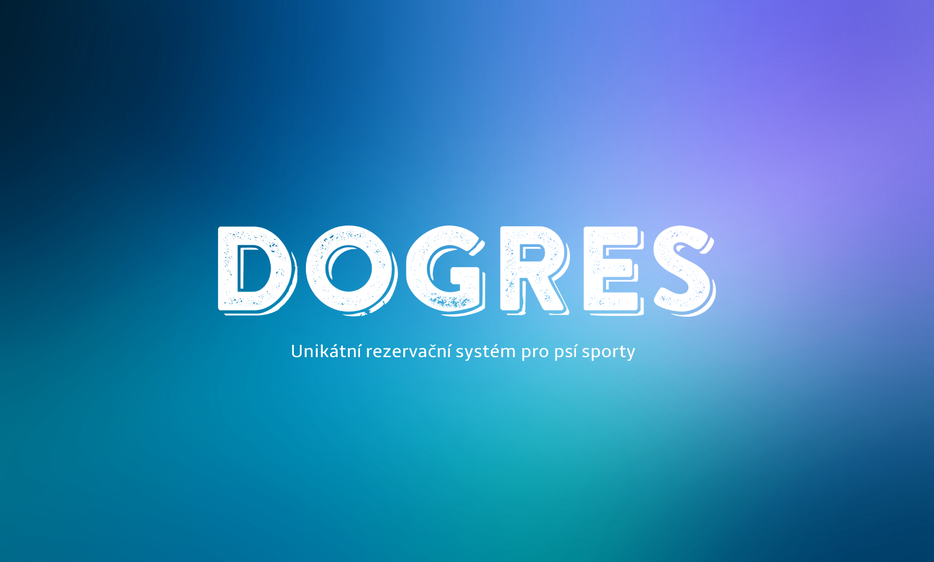 Nosework pre mierne pokročilých až pokročilých - DOV - Koira psí škola